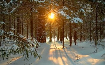 Why do we say ‘White Rabbits’ on the First of the Month? - Silversurfers